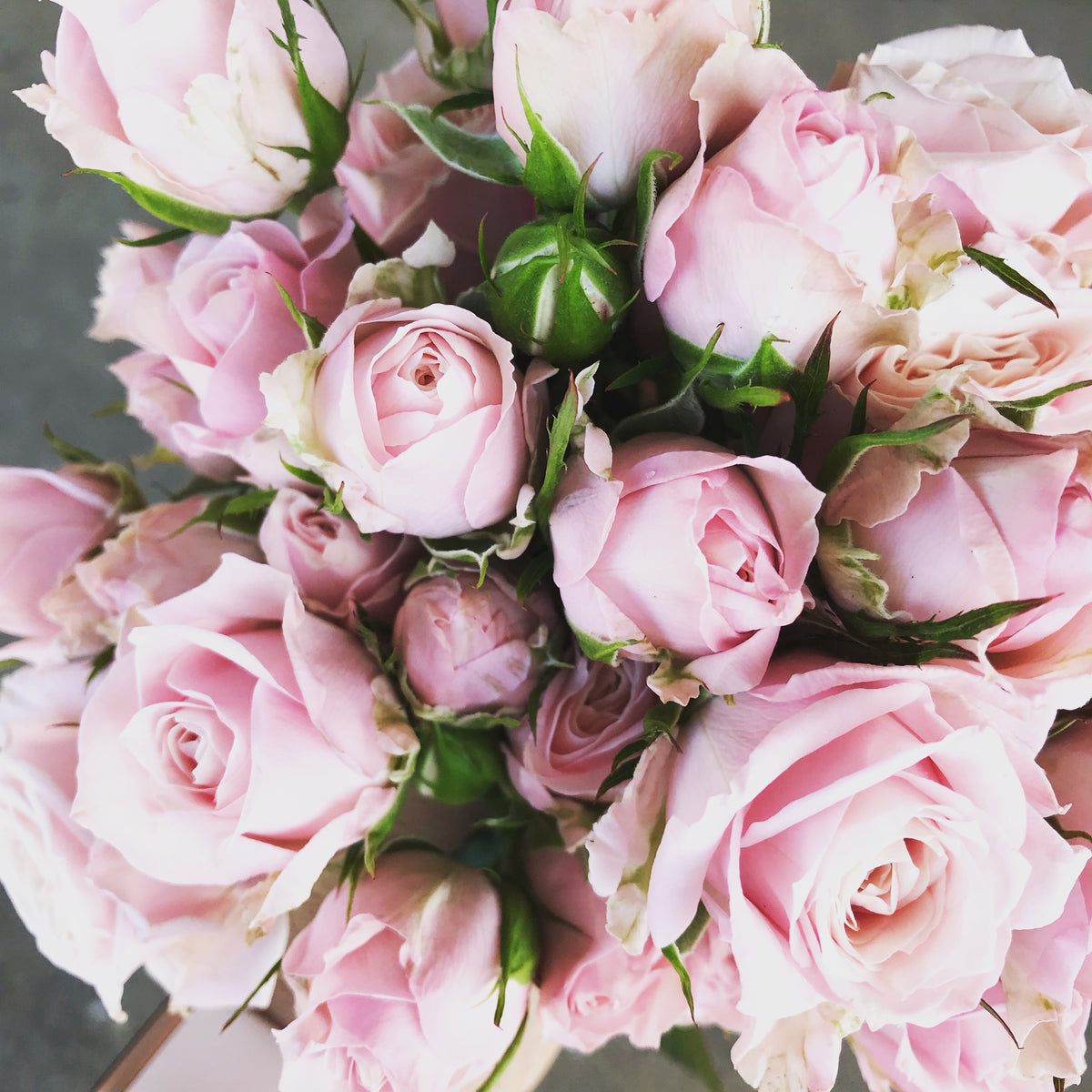 Florist in Bundaberg - Same Day Delivery – One Little Farm